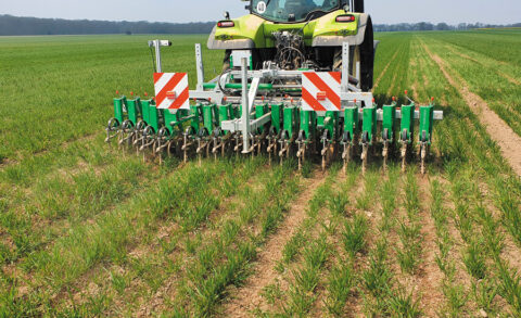 Bineuses betteraves, maïs, légumes et céréales - Agronomic