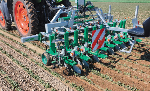 Bineuses betteraves, maïs, légumes et céréales - Agronomic